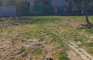 Prodajem kucu u selu Iđoš-Kikinda