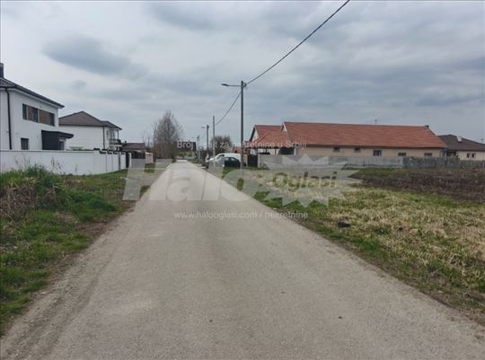 Nova pazova