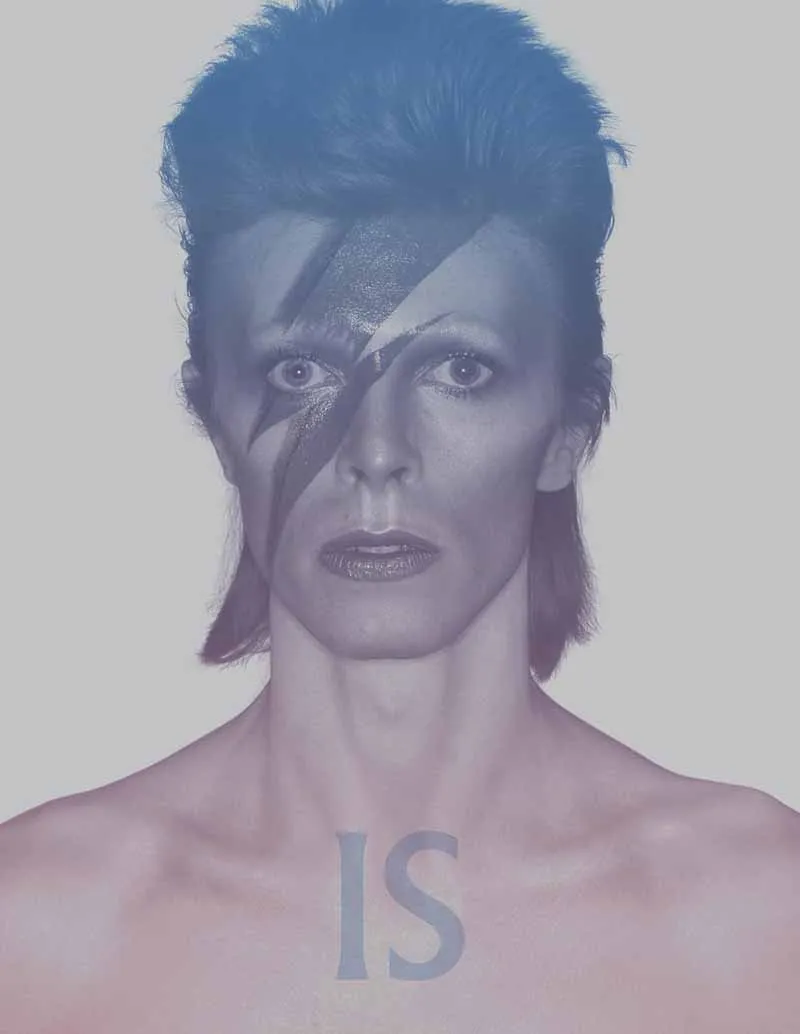 DAVID BOWIE IS