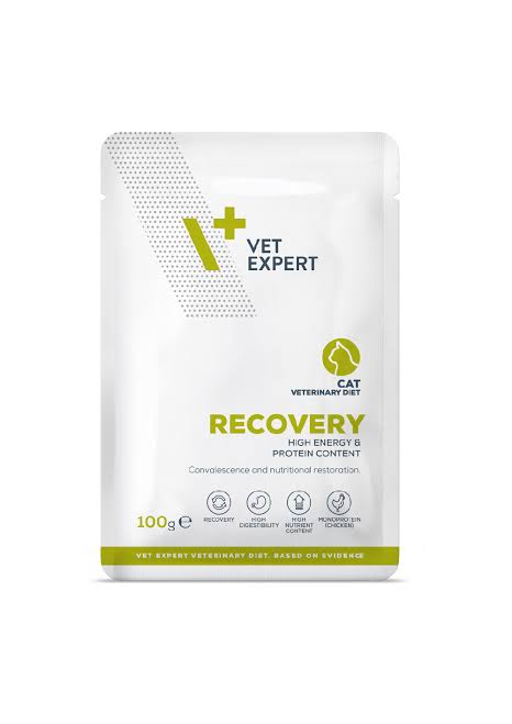 VetExpert Cat diet recovery 100g pouch