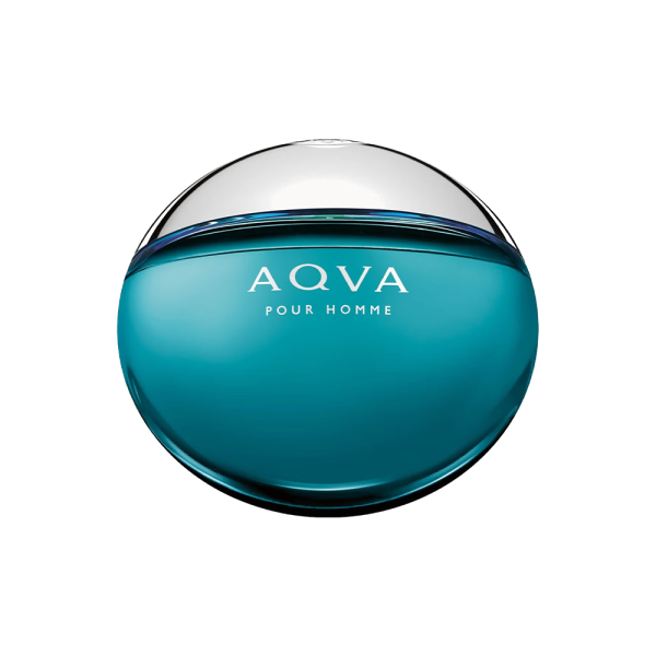 Aqua Pour Homme Eau de Toilette 100ml