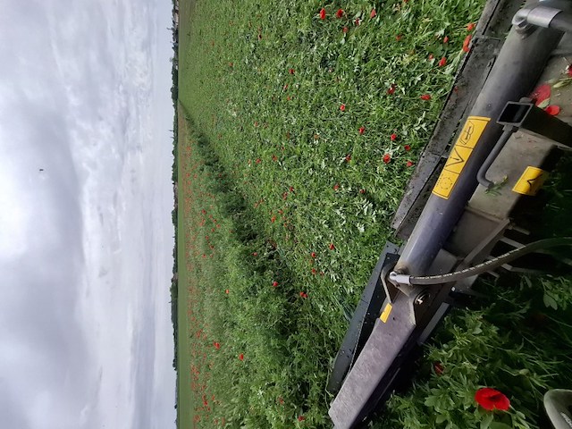 Seme mix za permakulturu, zelenišno đubrenje, pokrovne