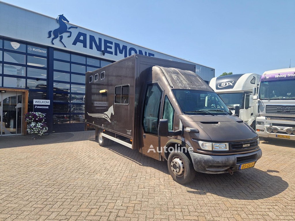 IVECO 65C vozilo za prevoz konja