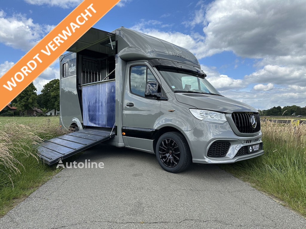Mercedes-Benz Sprinter 317 AMG 2-paards paardenvrachtwagen vozilo za prevoz konja