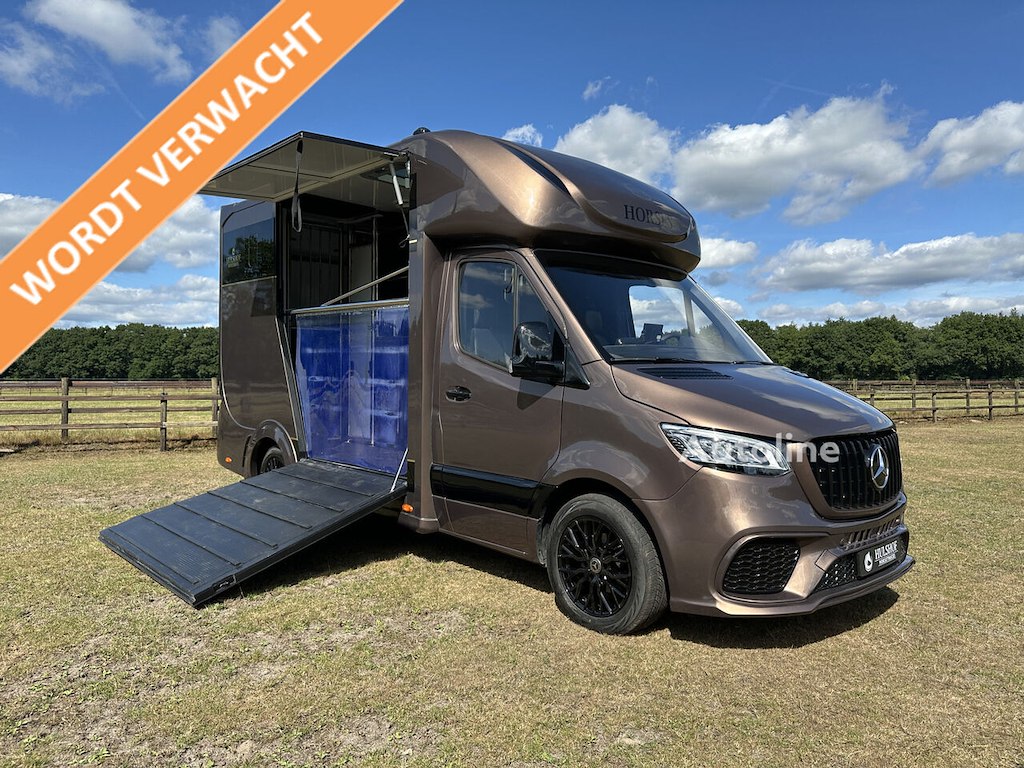 Mercedes-Benz Sprinter 317 AMG 2-paards paardenvrachtwagen vozilo za prevoz konja