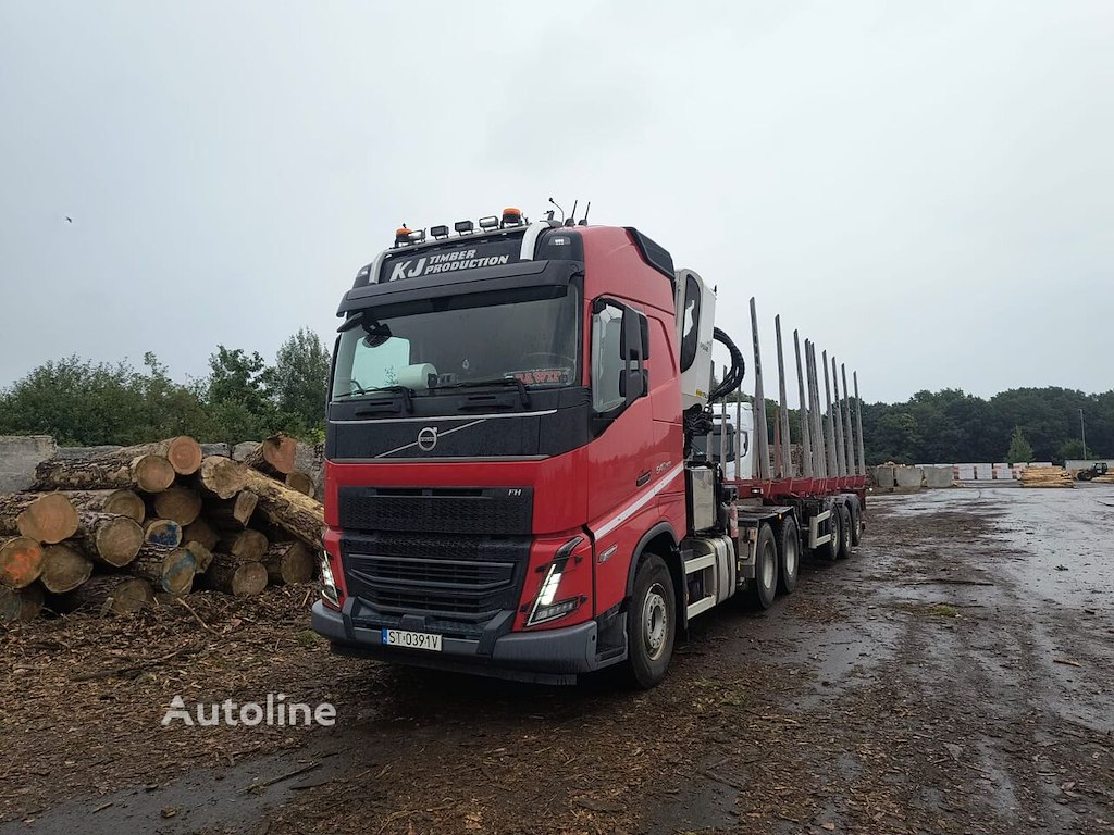 Volvo FH 540 kamion za prevoz drva