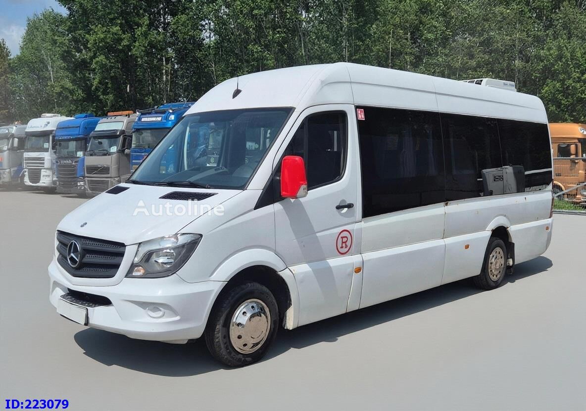 Mercedes-Benz Sprinter 516 - VIP turistički autobus