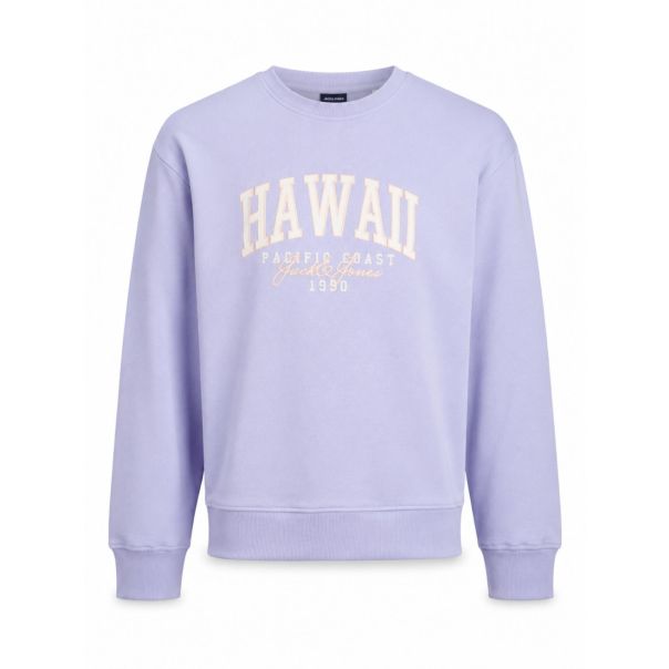 JACK & JONES Muška dukserica detroit