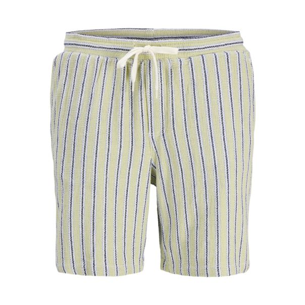JACK & JONES Muški šorts jaiden