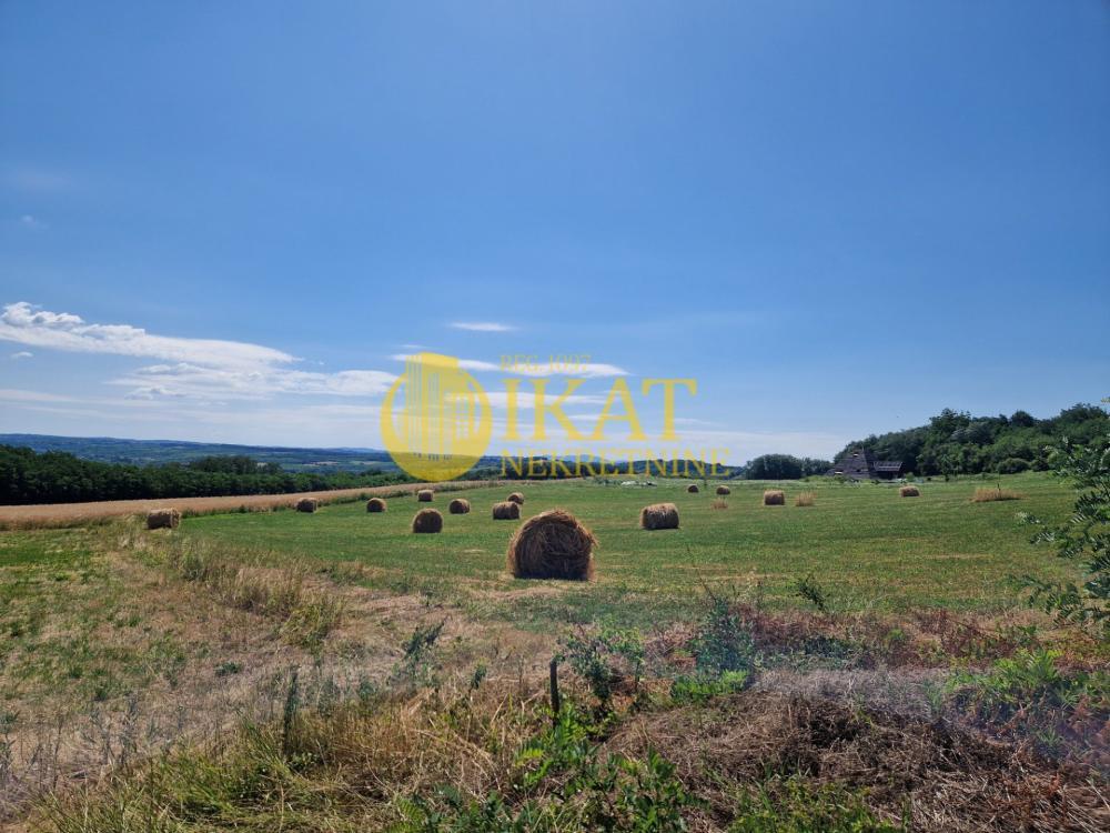 Barička reka Plac na prodaju, Obrenovac, Barič, 17.600€