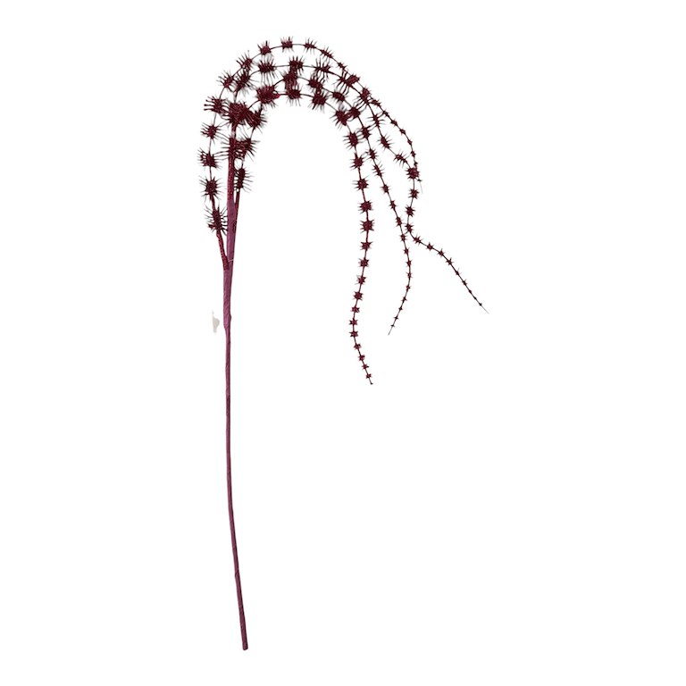 NG CRVENA GRANA 50 CM