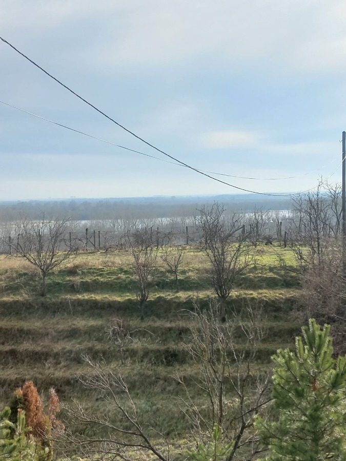 Plac sa pogledom na Dunav-Belegis
