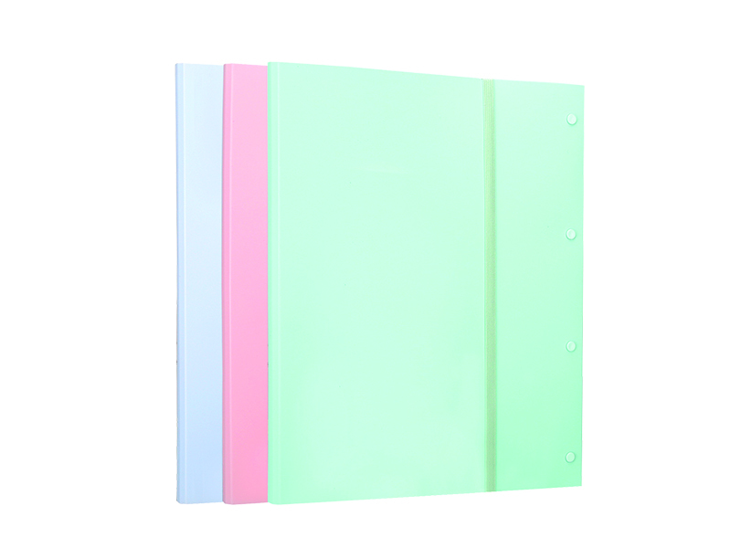 DELI FASCIKLA DISPLAY BOOK - MACAROON (HORIZONTALNA) 40 lista A3 ili 80 lista A4ID: EK000871300