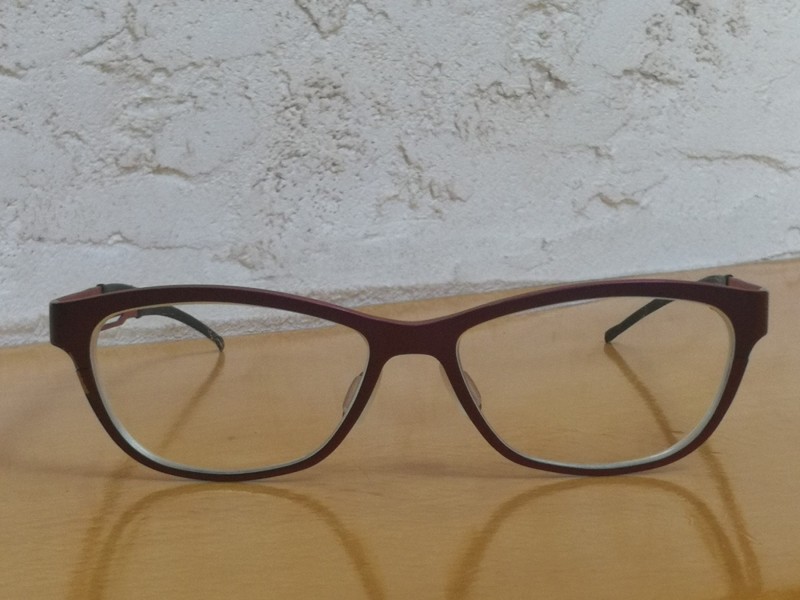Dioptrijski okvir TWIGGY Titanium 401