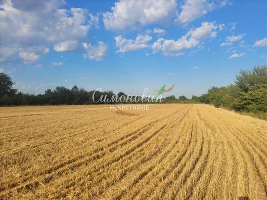 Stara Pazova, Krnješevci, 1,81ha, građ.zemljište i