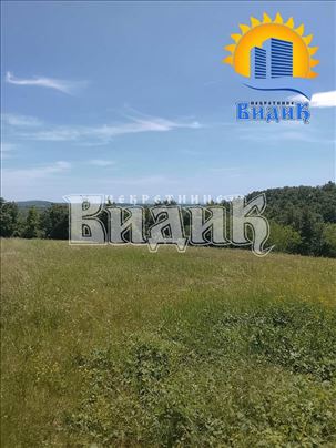 Dražanovac, Stamenke Čarapić ID#3157