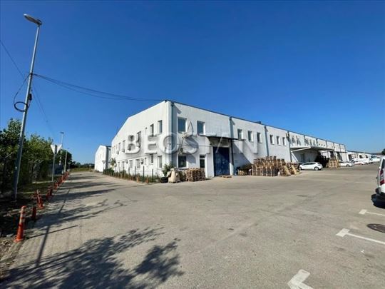 Lokal - Palilula #68124