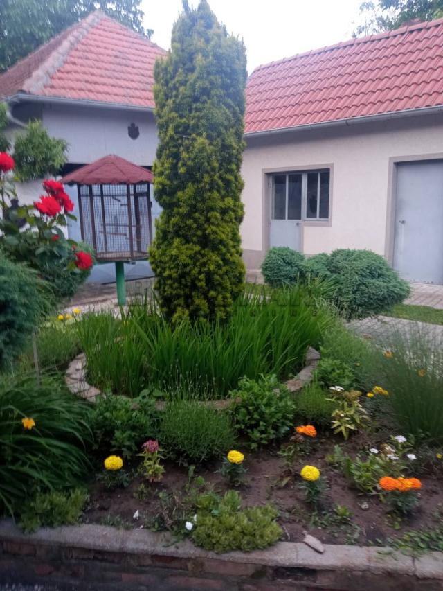 Lux seosko domaćinstvo u selu Markovac, kod Velike Plane, kuća 235 m2, 6 pomoćnih objekata, plac 329