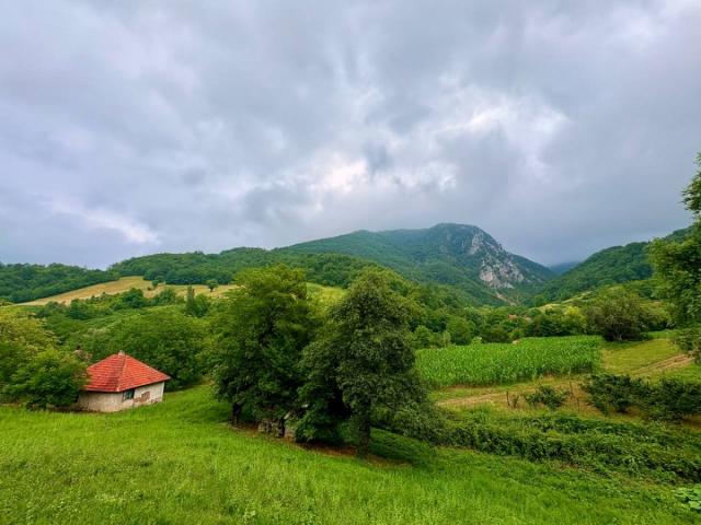 Oaza Mira nadomak Divcibara