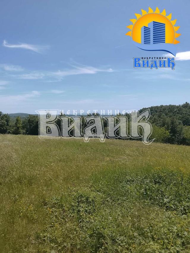 Dražanovac, Stamenke Čarapić ID#3157