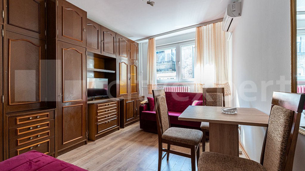 Stan za izdavanje BEZ PROVIZIJE: Garsonjera, 23m², Mutapova, Vračar - 480€