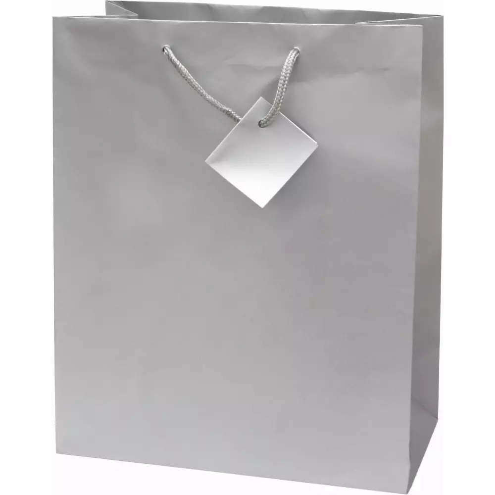 VREČKA D. SPECIAL SIMPLE L SREBRNA