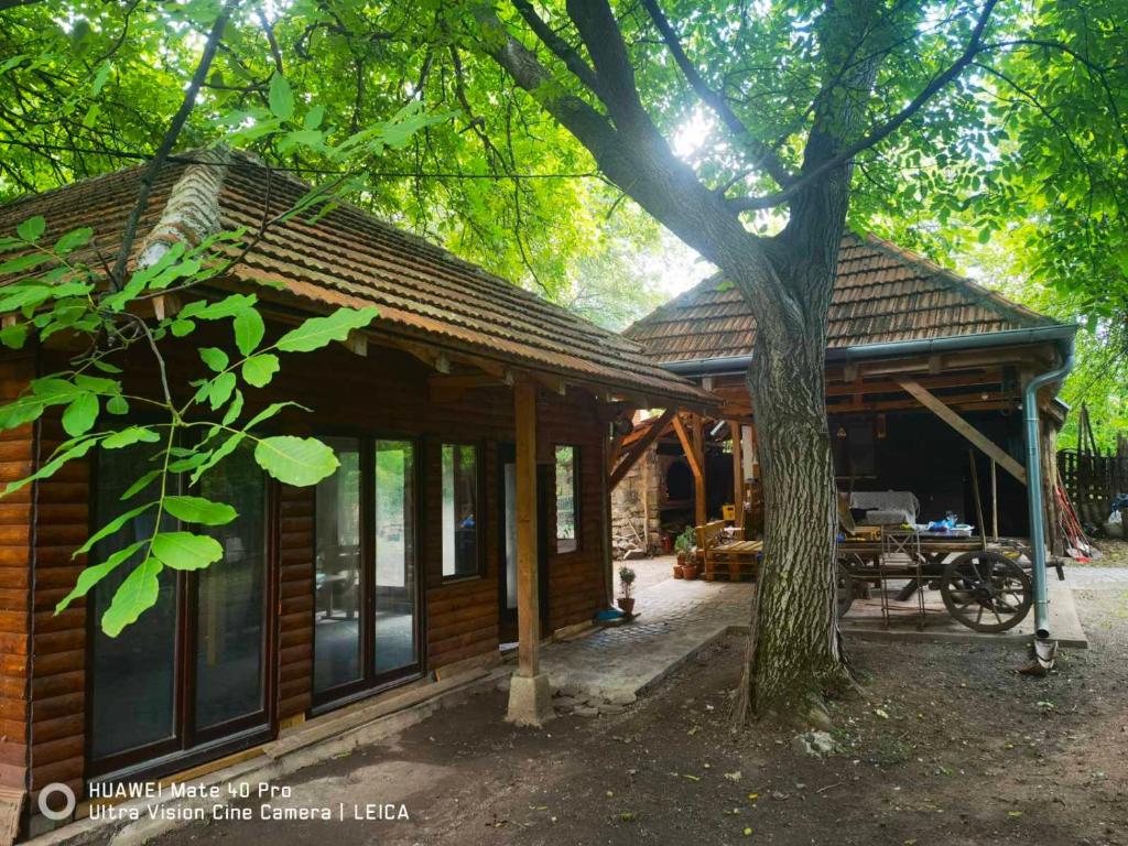 Green small village Nis
