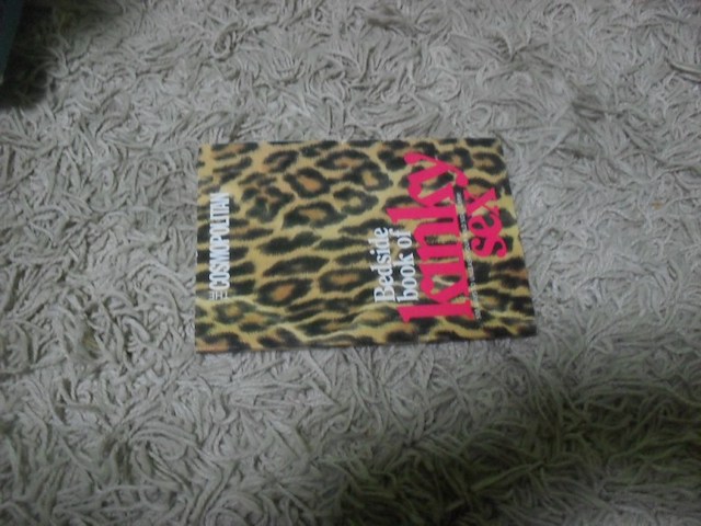 Bedside book of kinky sex