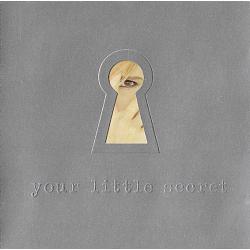 Melissa Etheridge - Your Little Secret (cd)