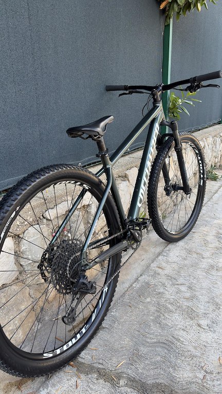 Specialized rockhopper 29