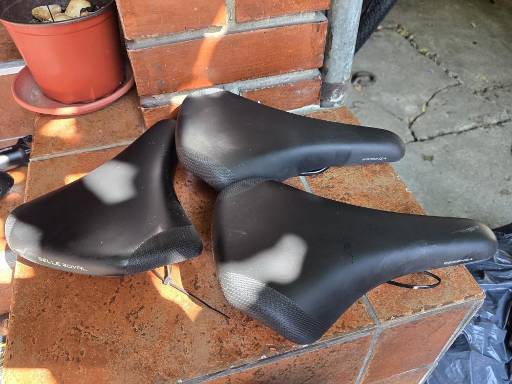 Selle royal essenza NOVO