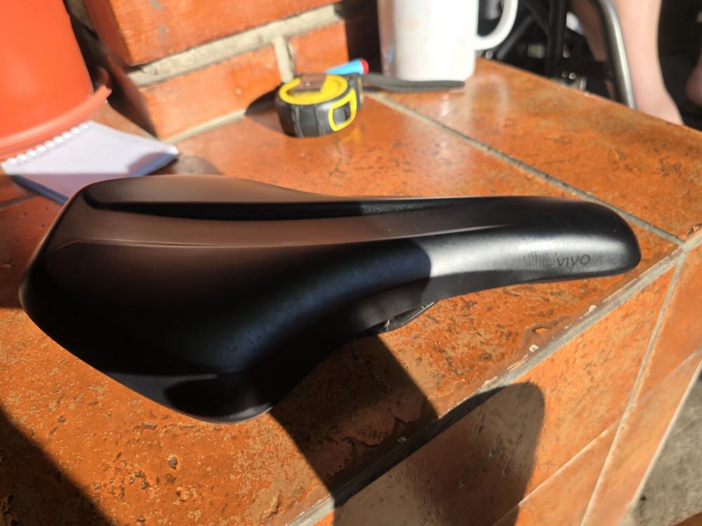 Selle royal vivo