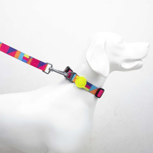 Spirit Medium Multicolor Dog Leash