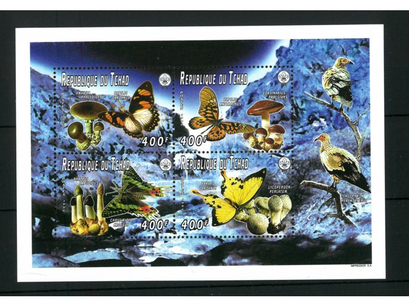 FLORA FAUNA ČAD CISTO