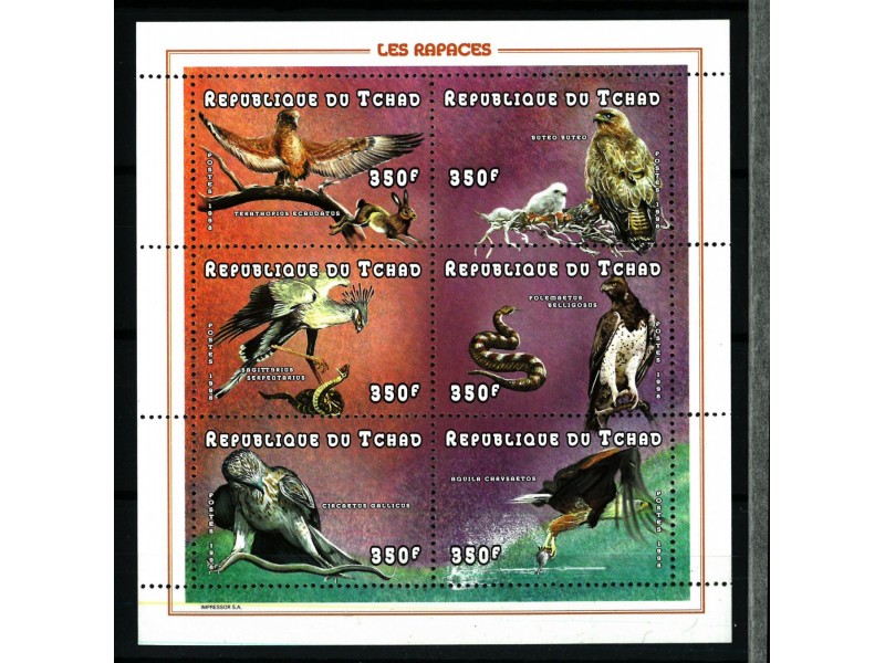 FLORA FAUNA ČAD CISTO