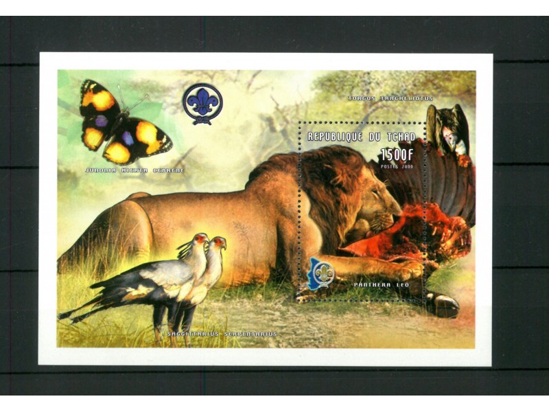 FLORA FAUNA ČAD CISTO