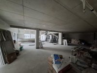 Čukarica - 371,73 ID#24856
