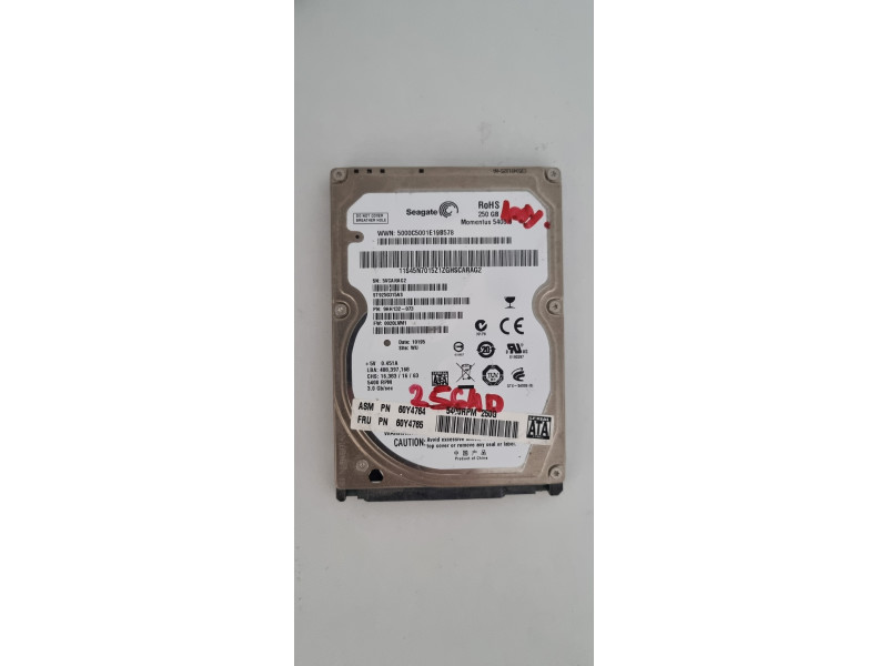 Seagate 250gb 2.5 inca