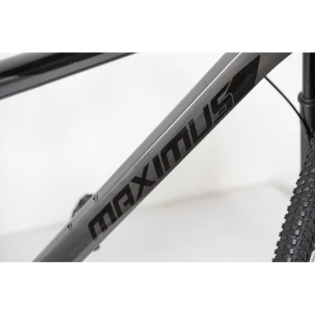 Bicikla 29"/21 maximus grey ( BCK0953 )