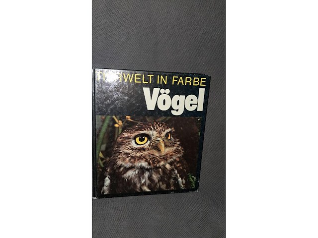 Tierwelt in farbe Vögel