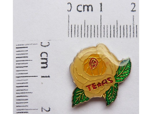Texas, Teksas