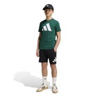DEČIJA MAJICA ADIDAS J BL TEE 160