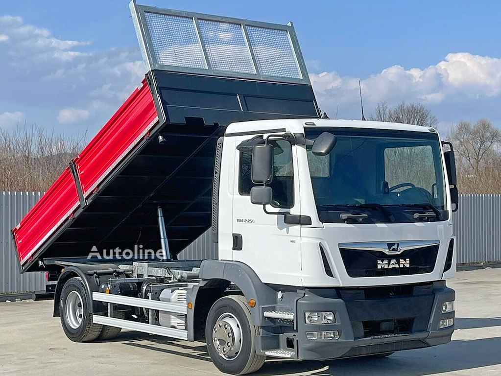 MAN TGM 12.230 * TOPZUSTAND kiper