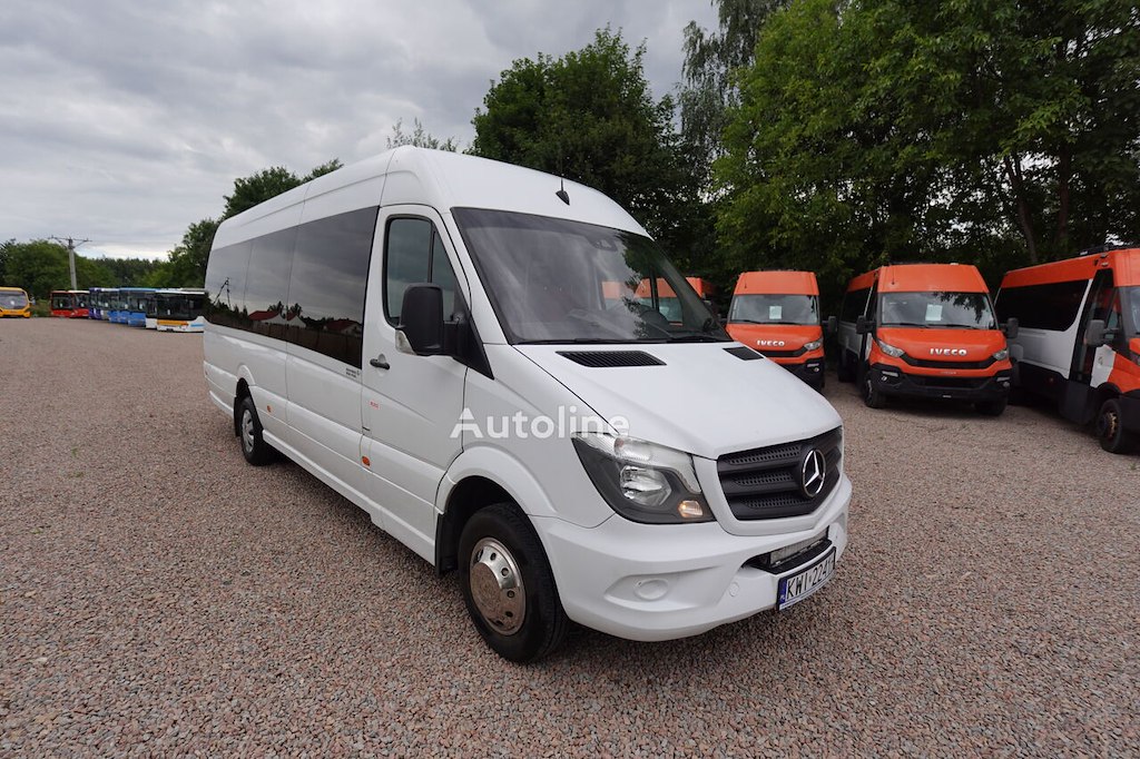 Mercedes-Benz Sprinter 516 putnički minibus