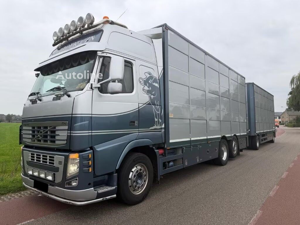 Volvo FH 480 / + trailer kamion za prevoz stoke + prikolica za prevoz stoke