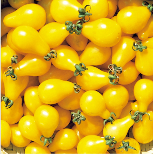 *Organski čeri paradajz žuta kruška 250g
