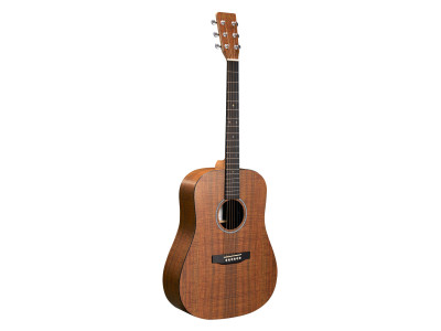 Martin D-X1E Koa