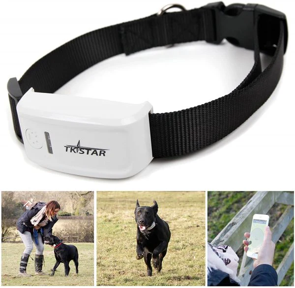 TKSTAR TK909 GPS traker za pse — pametna ogrlica sa praćenjem