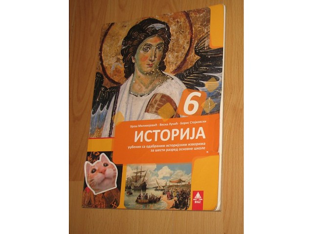 6. ISTORIJA 6 BIGZ