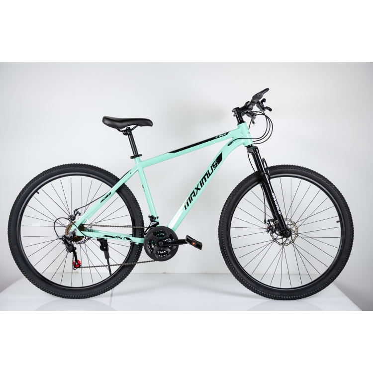 Winnerbike Bicikl 29"/21 maximus green Bck0951ID: EK000871869